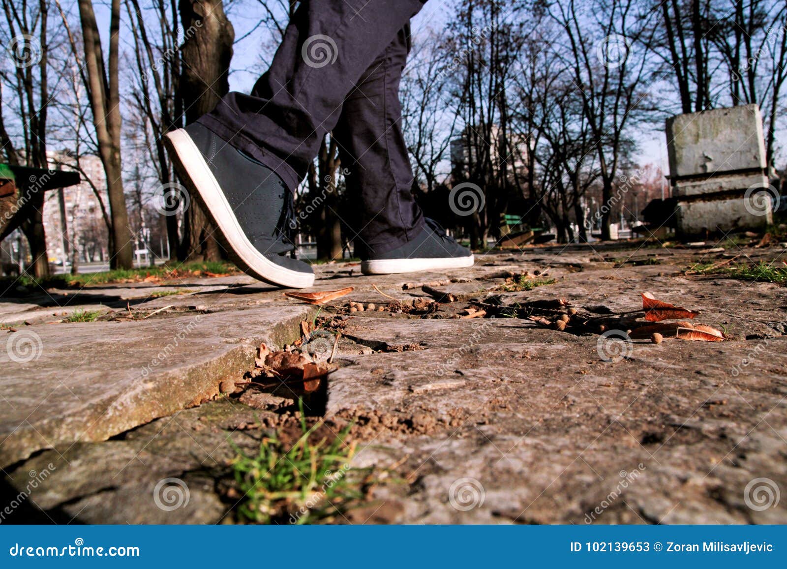 Sneakers in Park and Stomping Walking Trails Stock Image - Image of ...