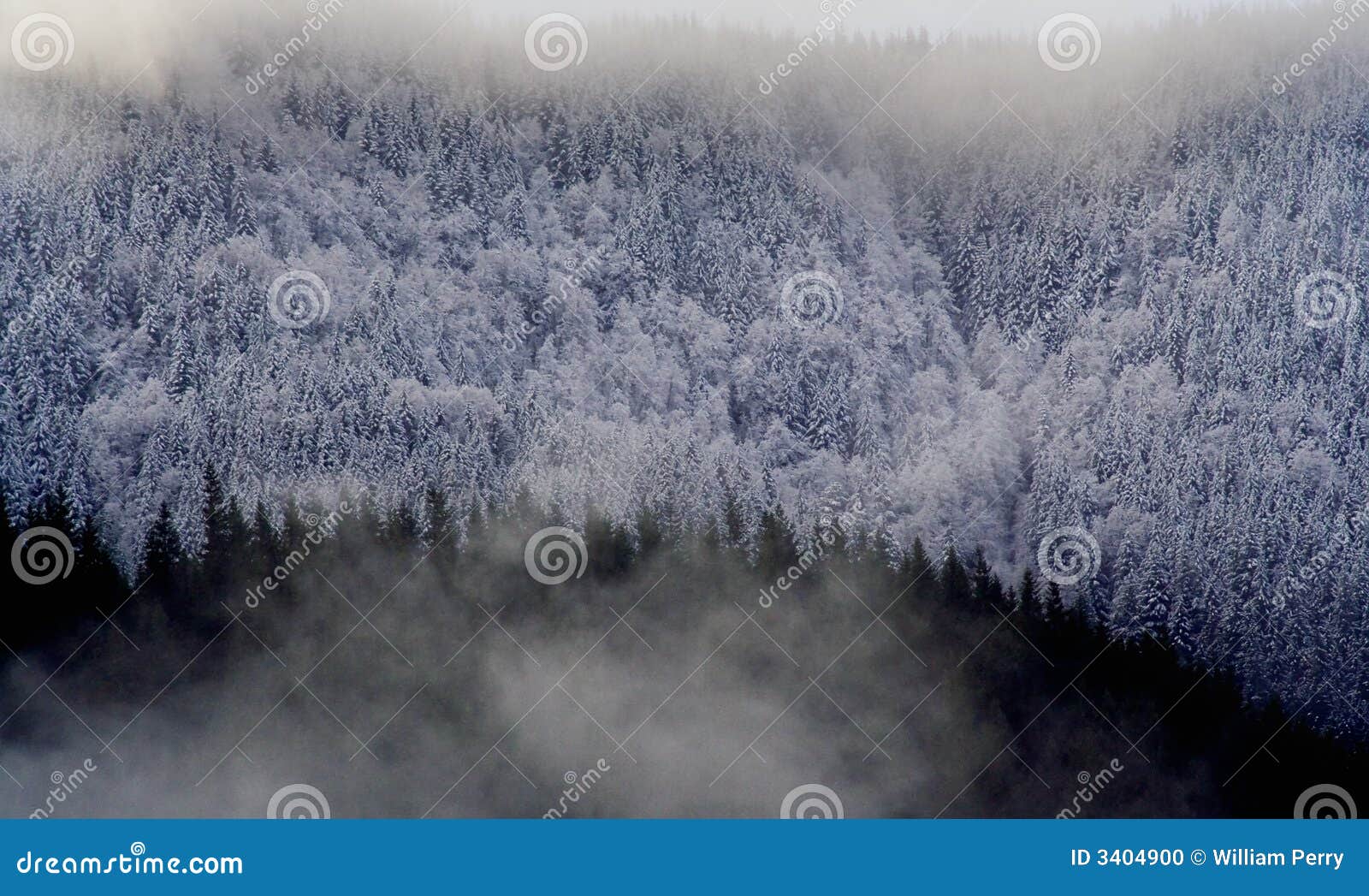 Sneeuw in De Berg Van De Winter Van Bomen Stock Foto - Image of piek ...