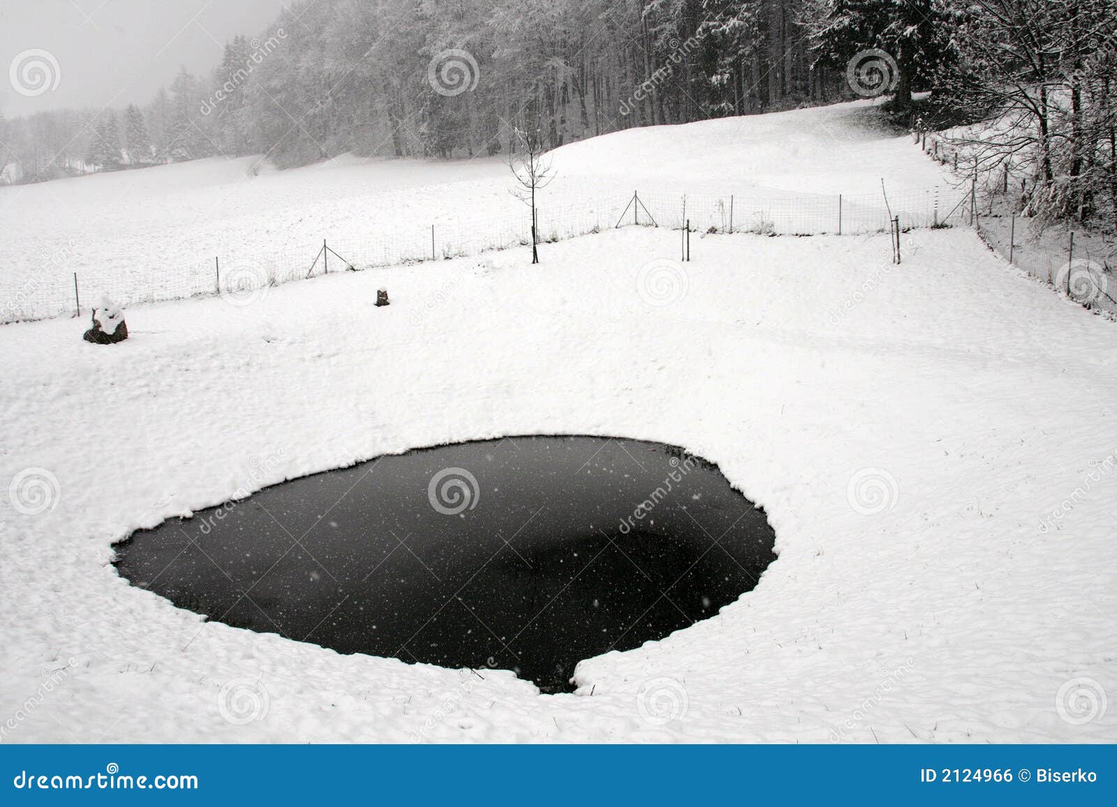 Sneeuw en ijs op het meer stock foto. Image of januari - 2124966