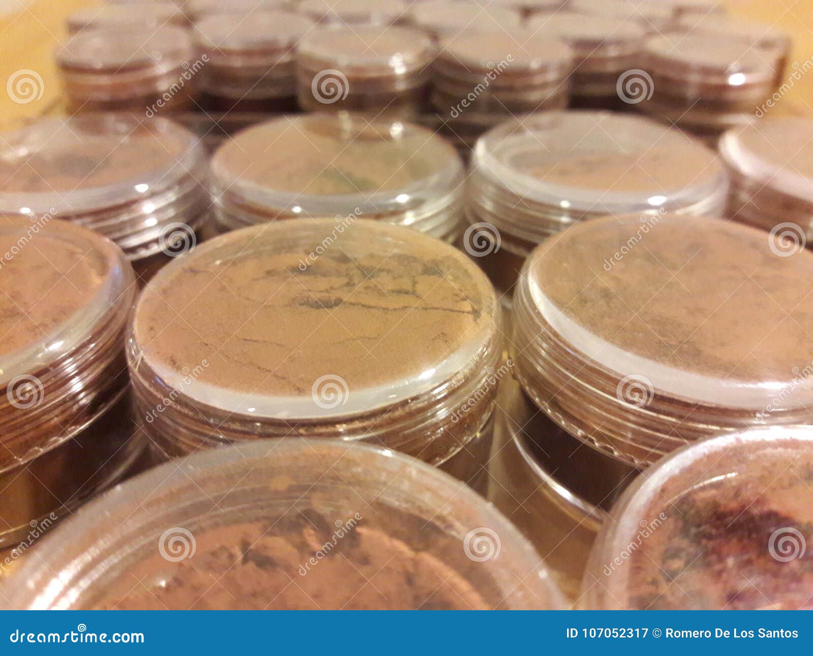 Sniff Cacao in Plastic Containers Stock Image - Image of ecologists ...