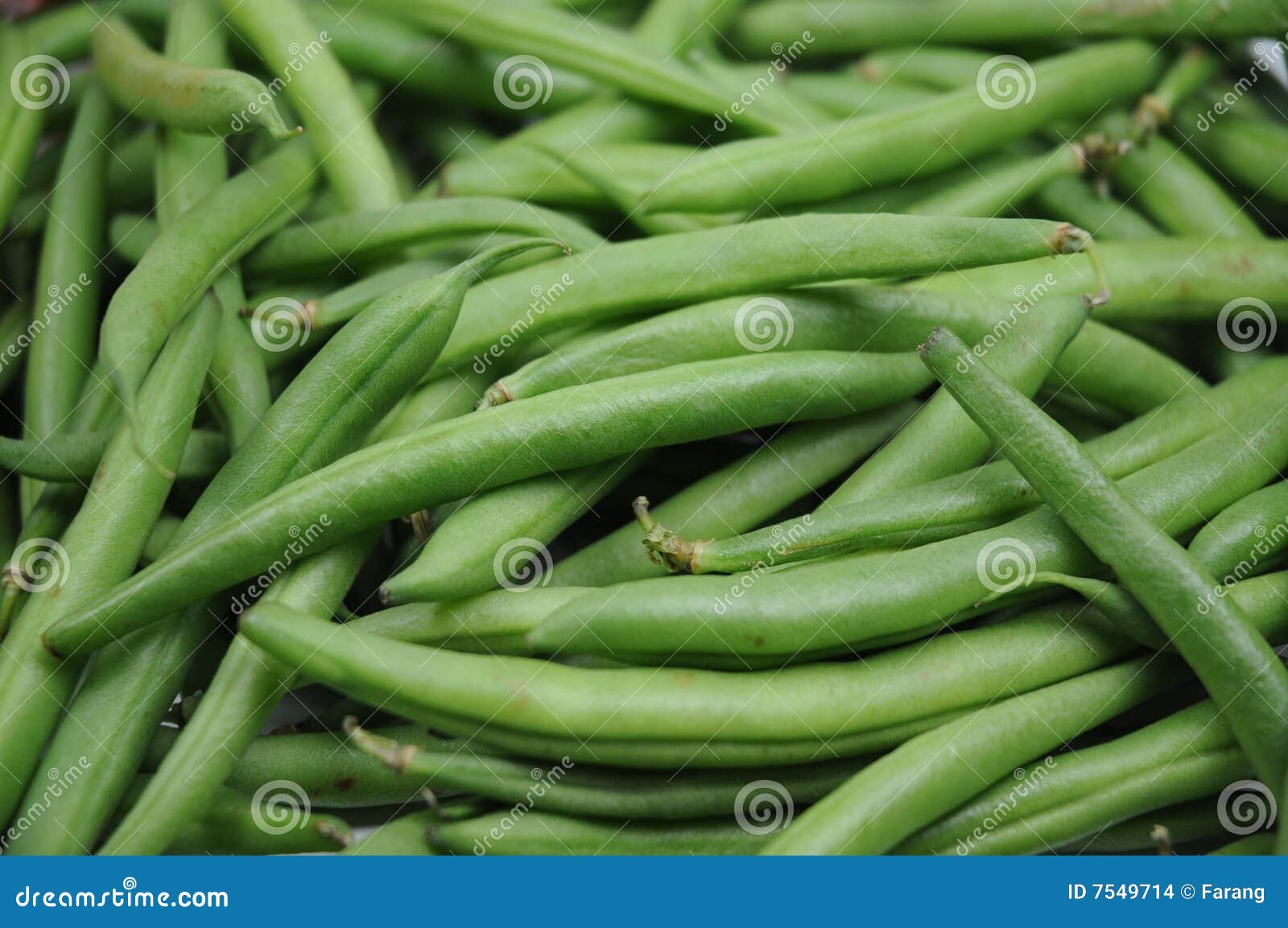 Snijbonen stock foto. Image of groenten, achtergrond, oogst - 7549714