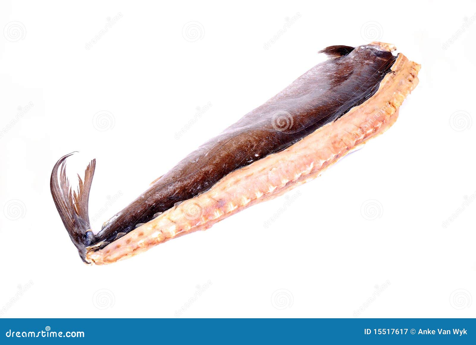 Snoek fish stock image. Image of africa, south, pike - 15517617