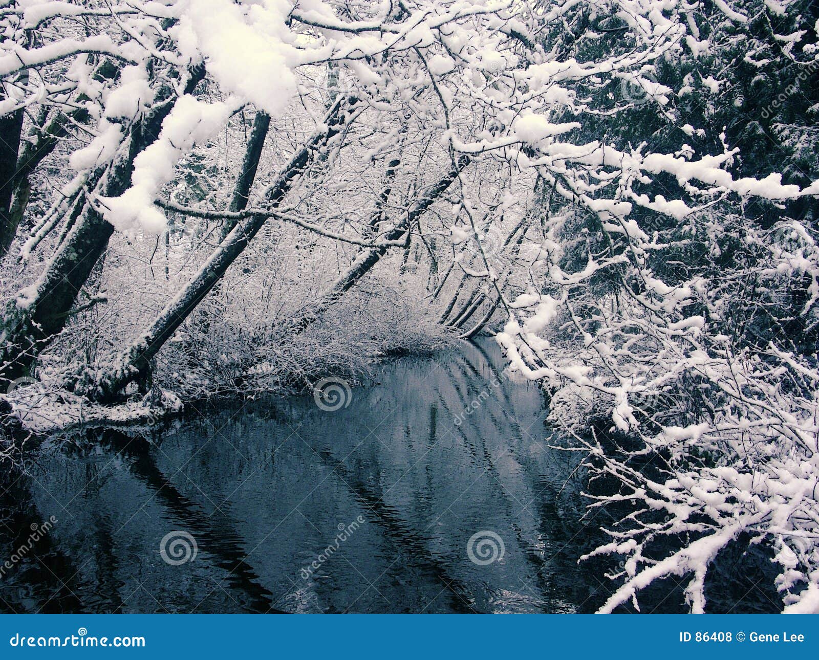 Snofall and Creek (view 3) stock photo. Image of landscape - 86408