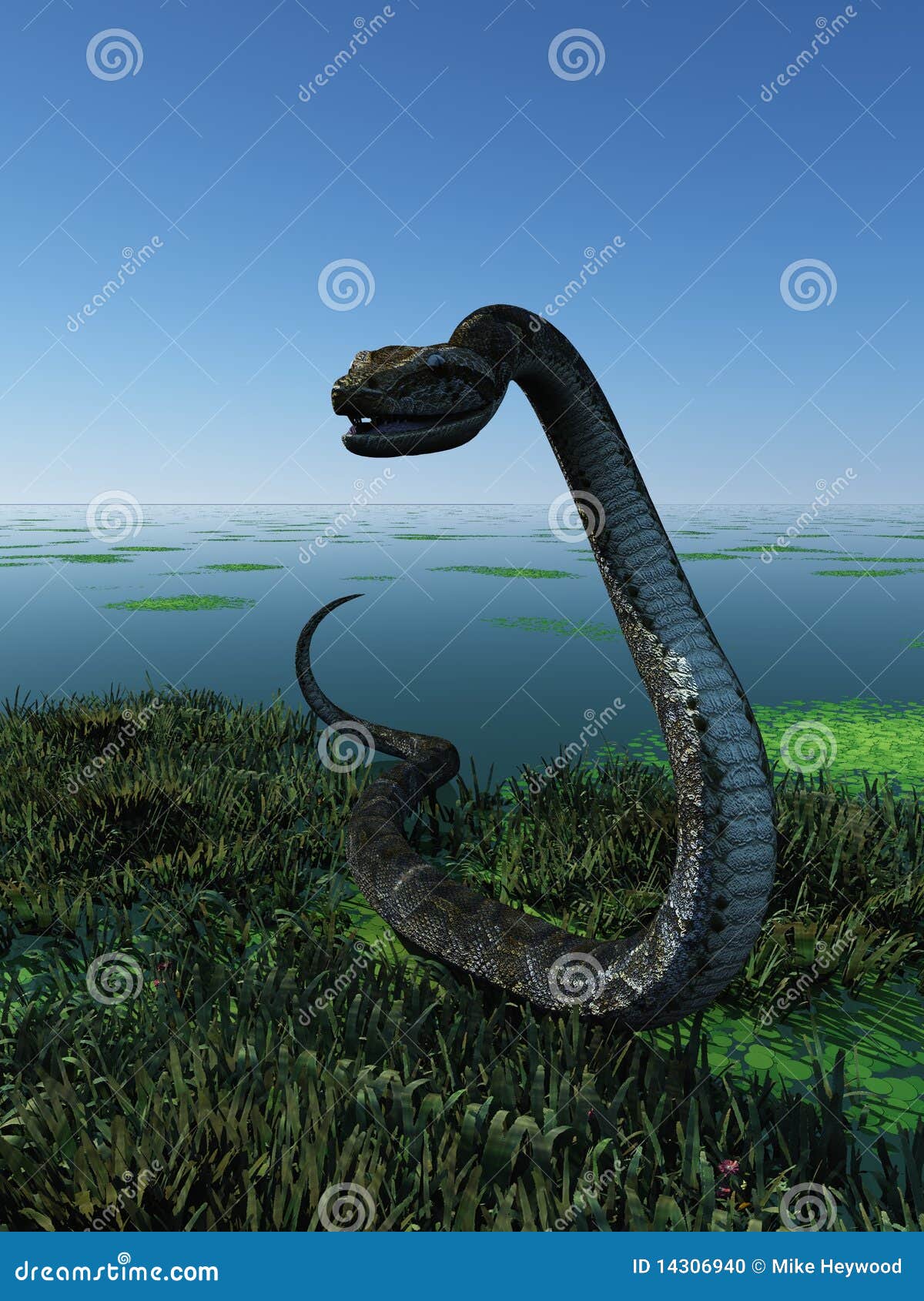 Snok stock illustrationer. Illustration av gungning, fräckt - 14306940