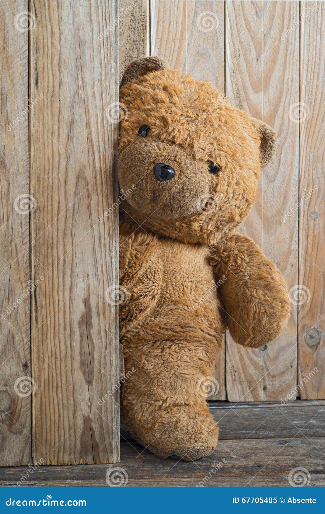 Bear Peeked Stock Photos - Free & Royalty-Free Stock Photos from Dreamstime
