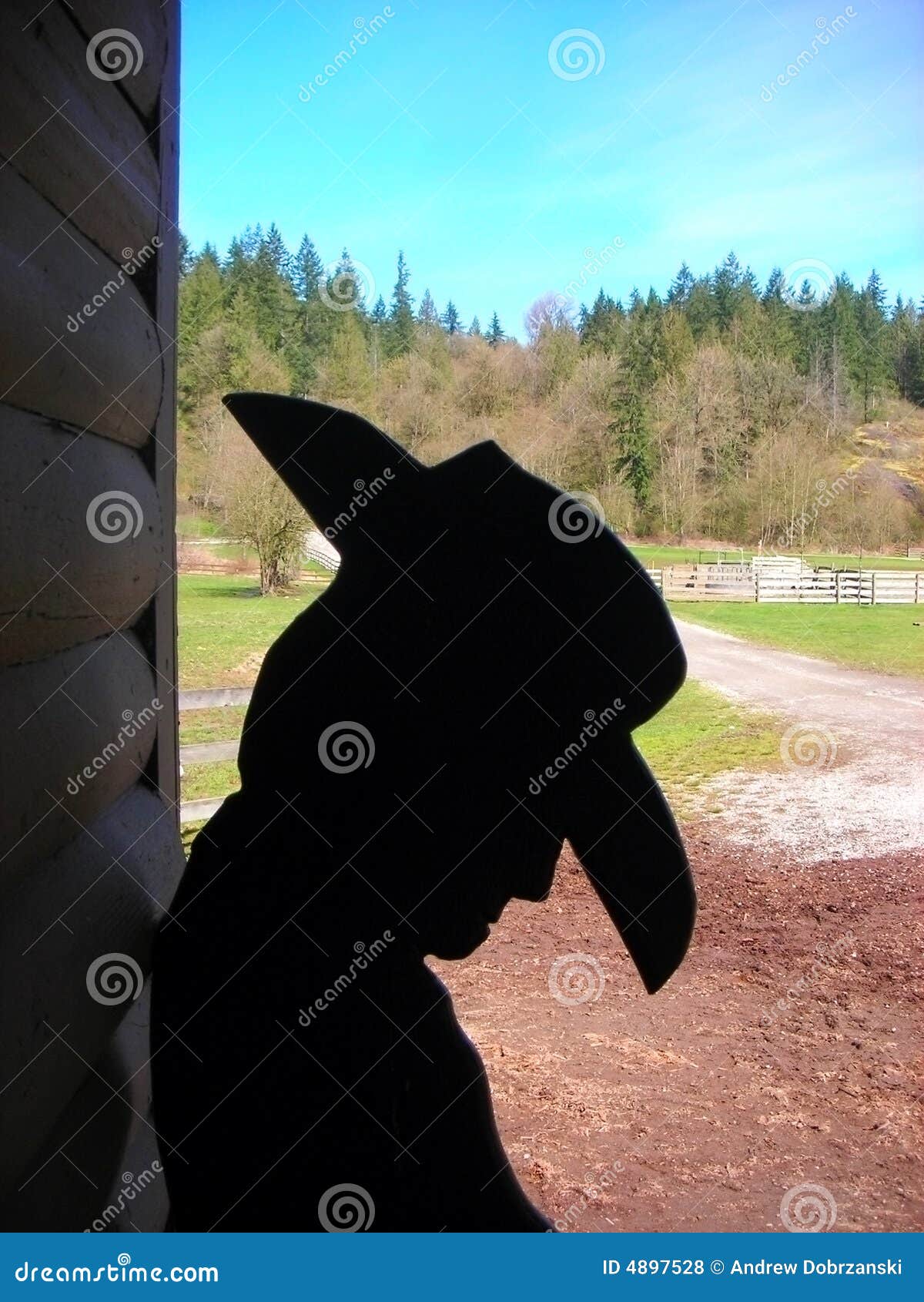 Snoozing Cowboy stock photo. Image of cowboy, hilly, pasture - 4897528