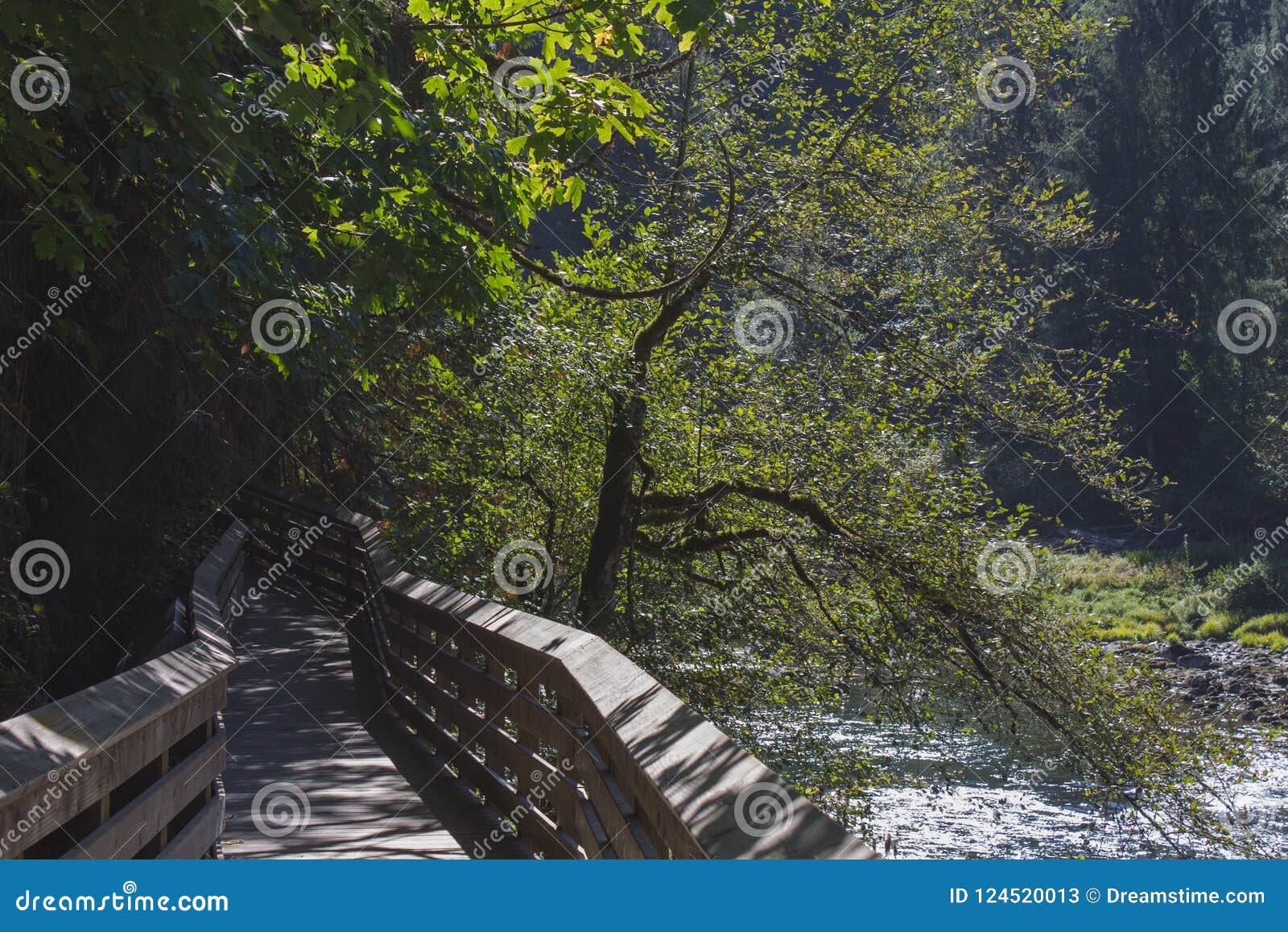 Snoqualmie Falls River in Seattle, WA Stock Image - Image of river ...