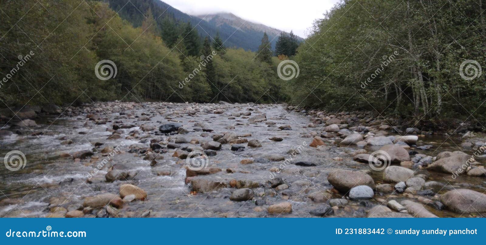 Snoqualmie River Snoqualmie Pass Washington Stock Photo - Image of ...