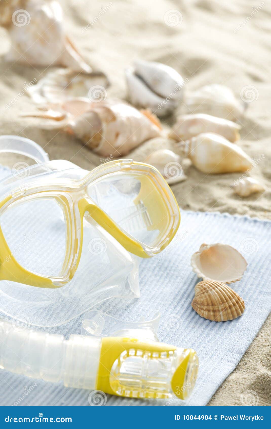 Snorkel mask and shells stock photo. Image of travel - 10044904