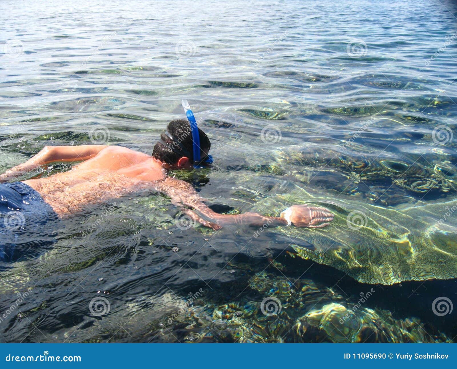 Snorkeler stock photo. Image of clear, destination, snorkeler - 11095690
