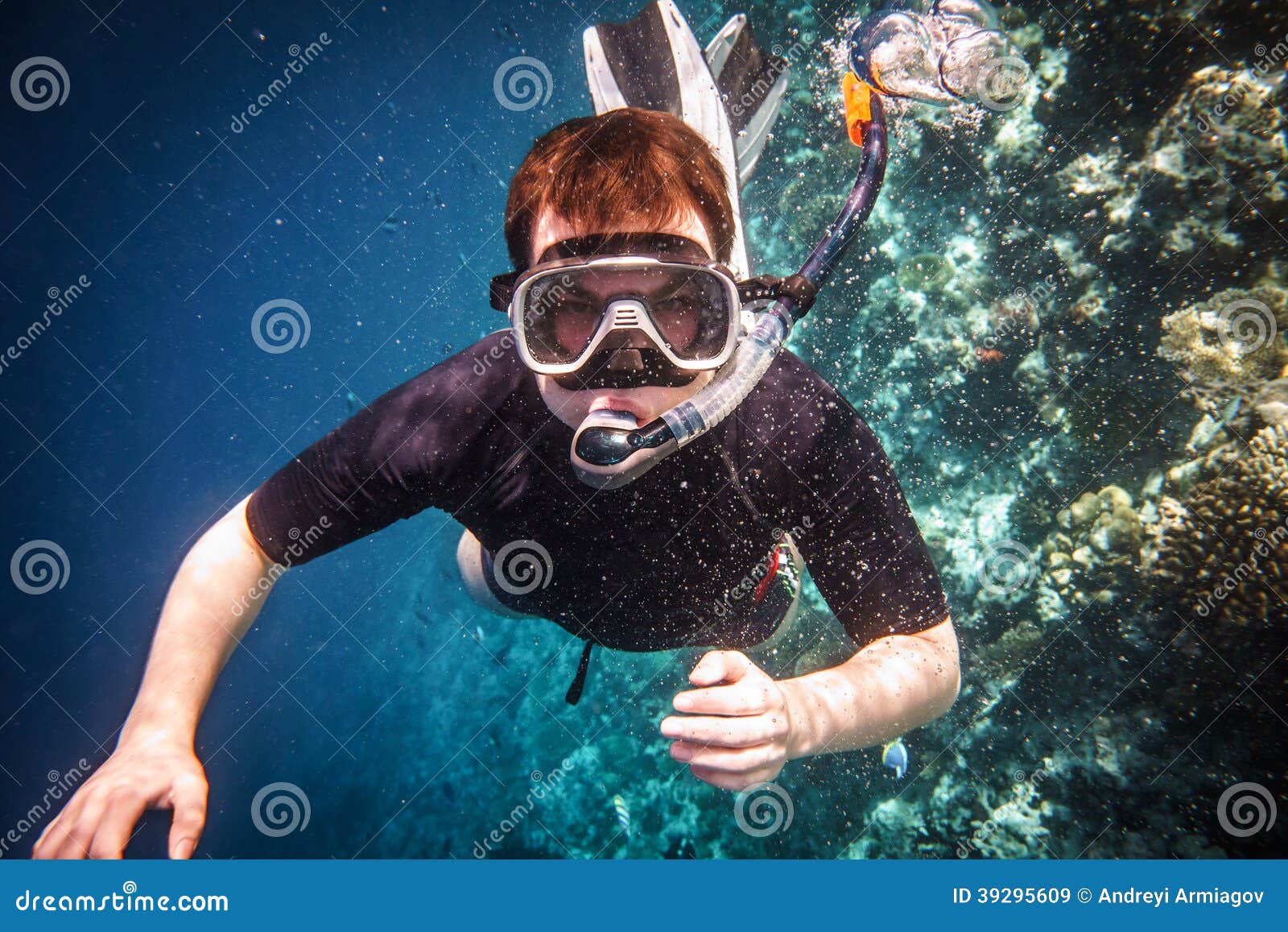 Snorkeler stock image. Image of life, holidays, swimming - 39295609