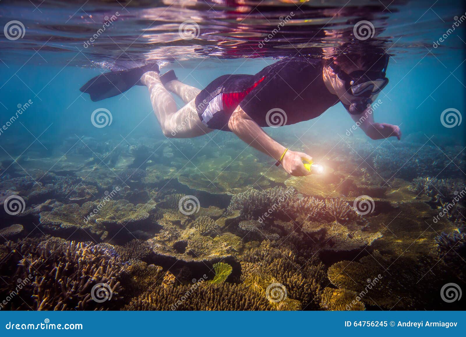 Snorkeler stock image. Image of angle, flashlight, holidays - 64756245