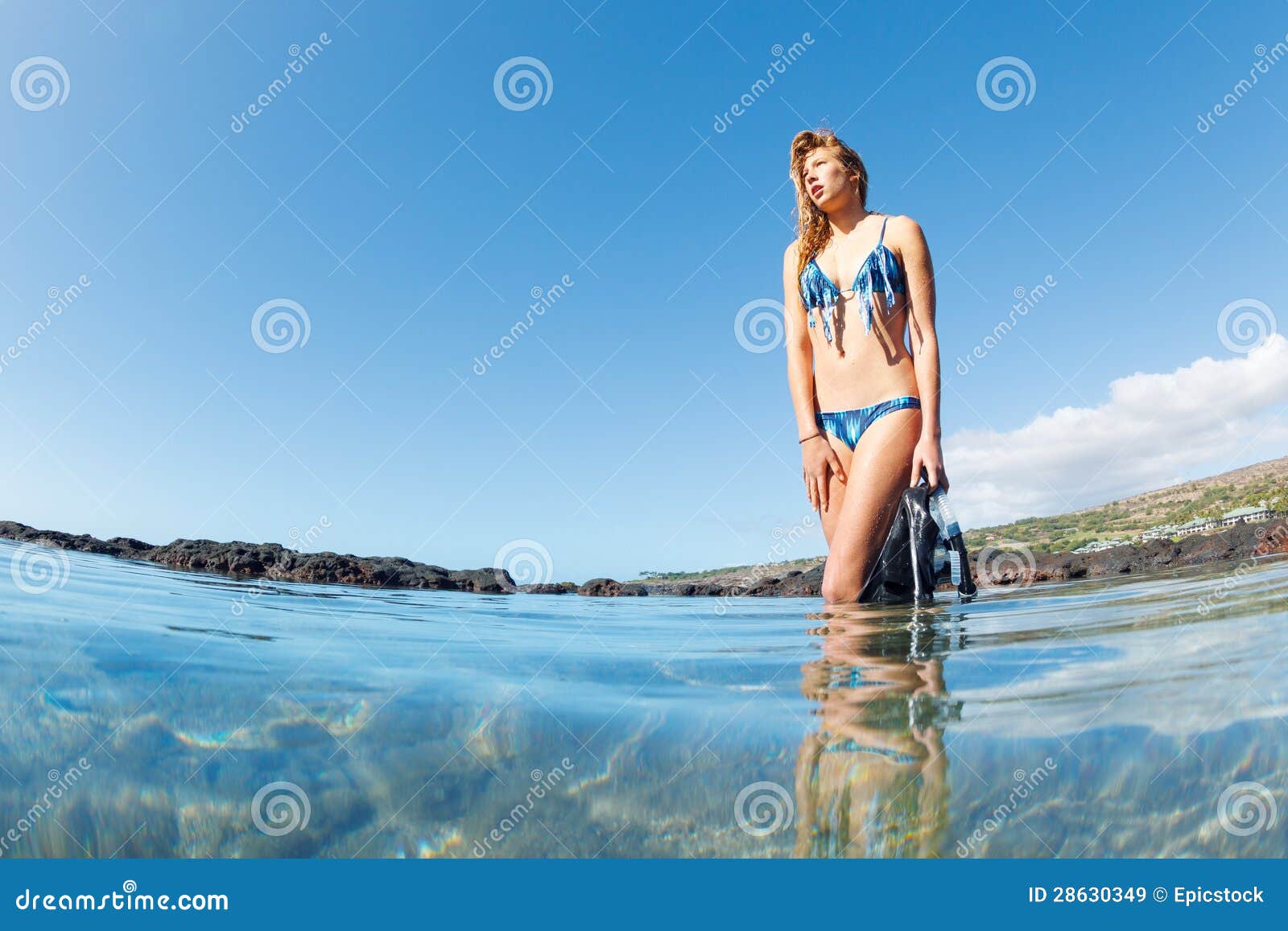 Snorkeler Fêmea Sexy Bonito Imagem De Stock Imagem De Esporte