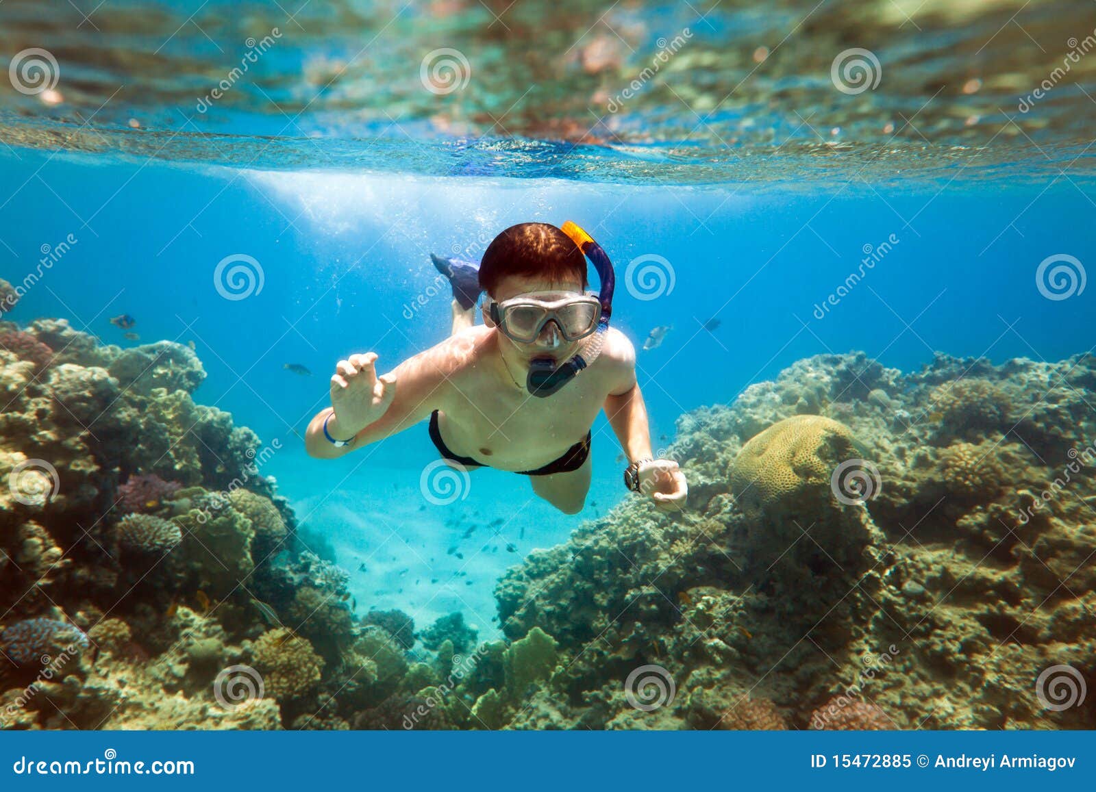 Snorkeler. Red sea stock image. Image of exploration - 15472885
