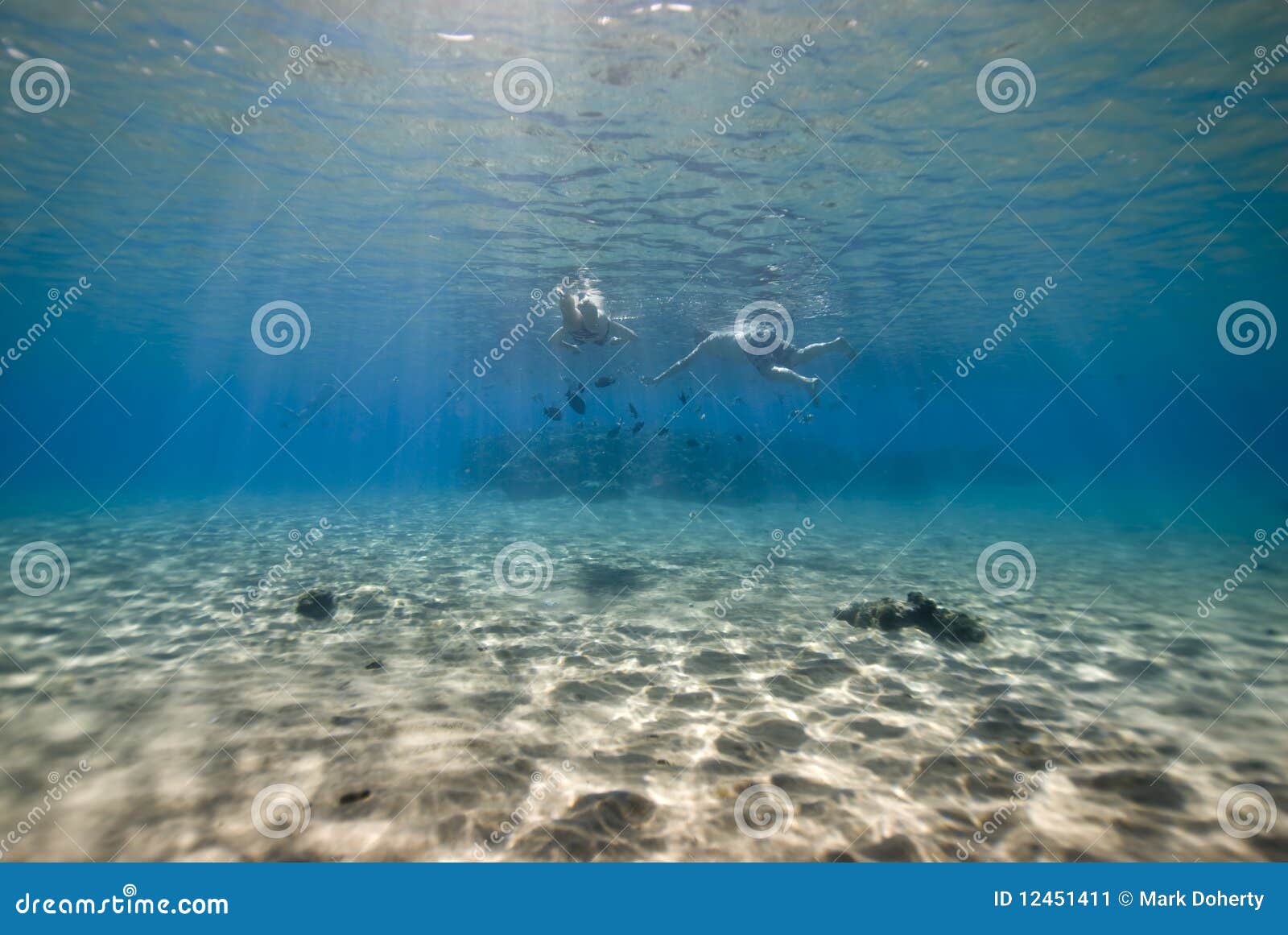 Snorkelers in Shallow Water Stock Image - Image of blue, clear: 12451411