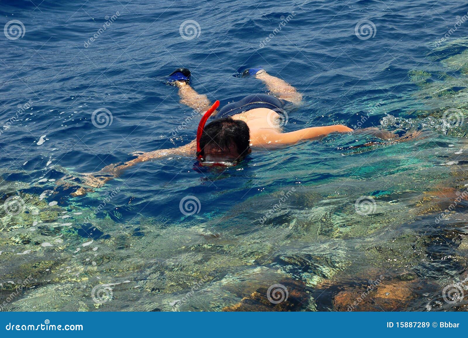 Snorkeling stock image. Image of diving, divers, under - 15887289