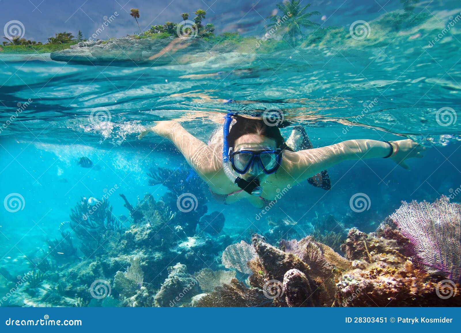 Snorkeling in the Tropical Water of Mexico Stock Image - Image of ...
