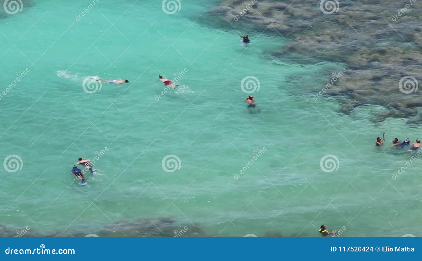 Snorkellers In The Coral Reefs Of Hanauma Bay Oahu Hawaii Stock