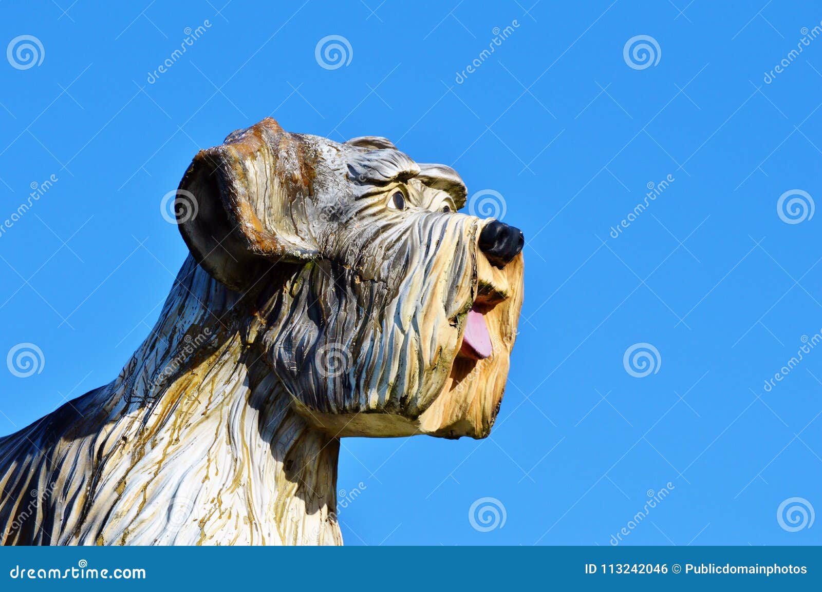 Ουρανός, Snout, σκυλί όπως το θηλαστικό, δέντρο εικόνα. εικόνα: 113242046