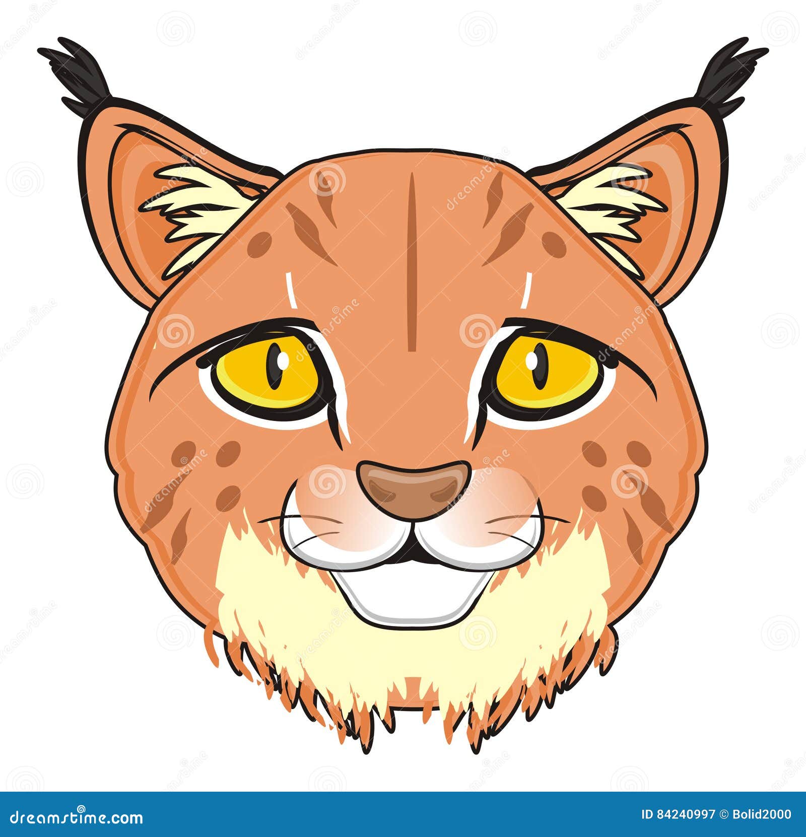 Snout of lynx stock illustration. Illustration of isolated - 84240997