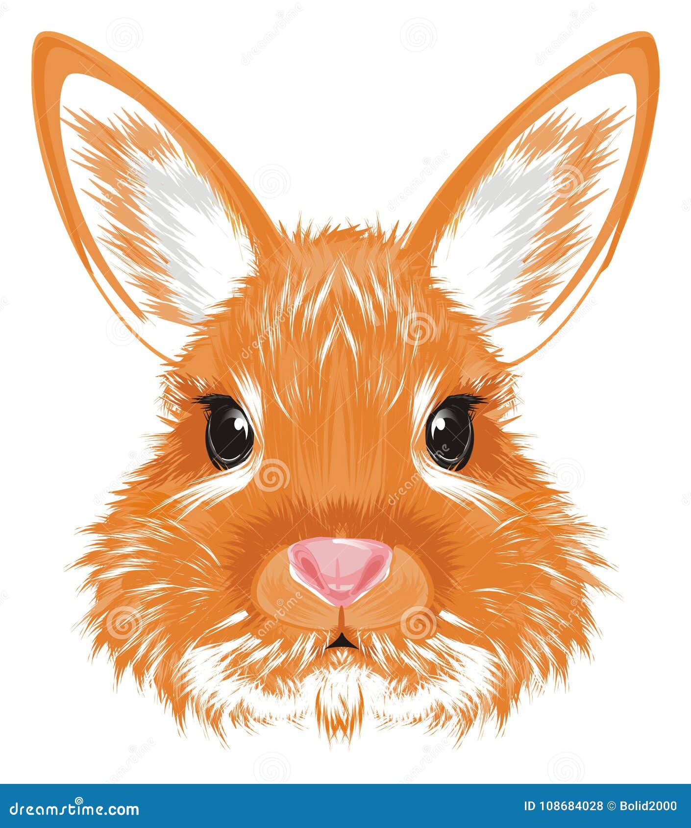 Snout of rabbit stock illustration. Illustration of small - 108684028