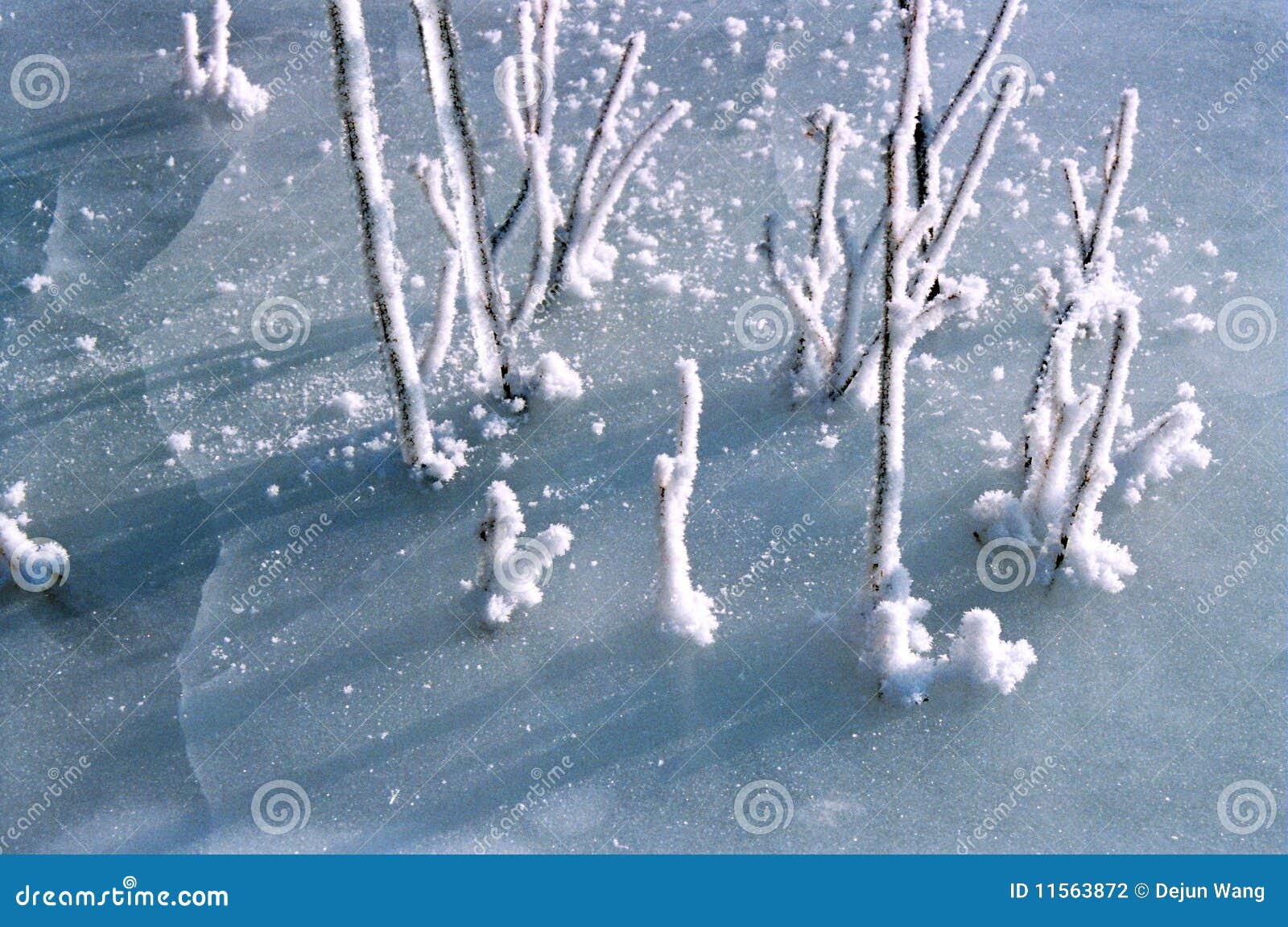 Snow stock photo. Image of background, skits, landscape - 11563872