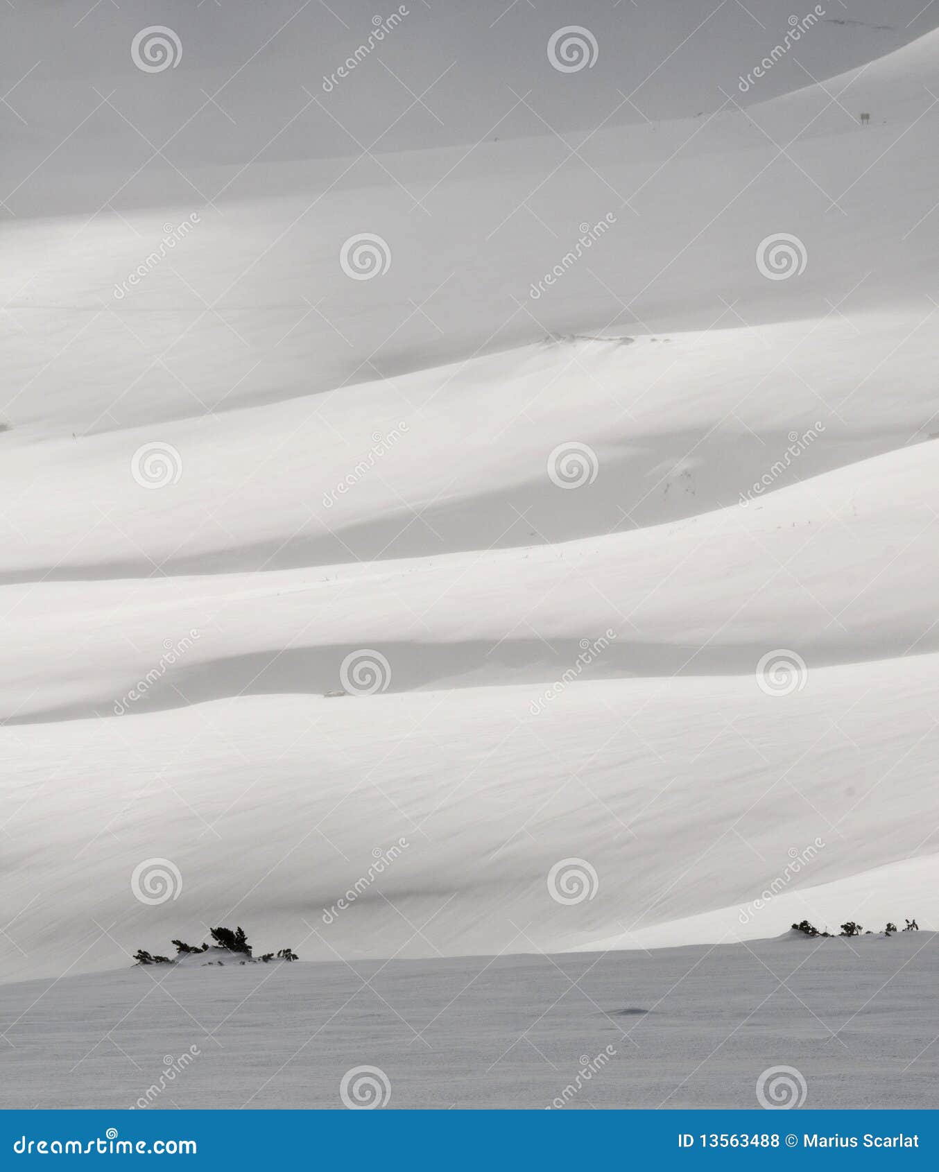 Snow abstract stock photo. Image of nature, frozen, shadow - 13563488