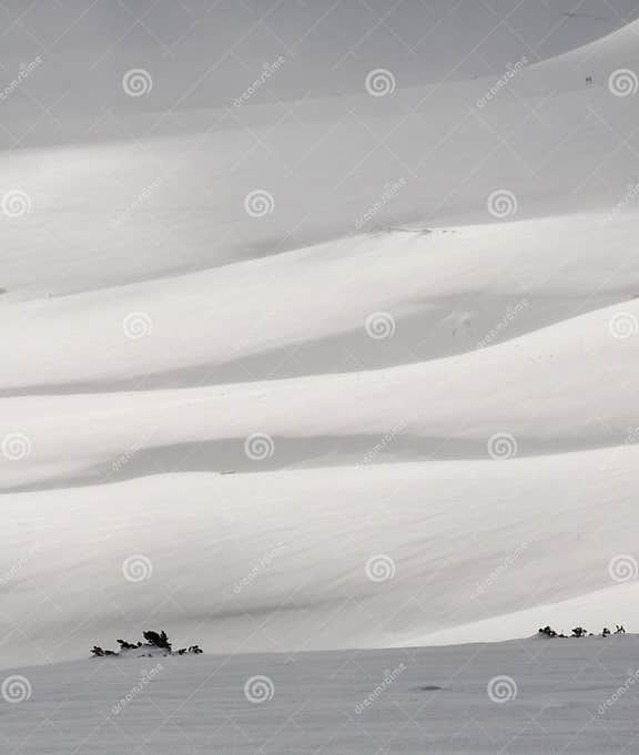 Snow abstract stock photo. Image of nature, frozen, shadow - 13563488