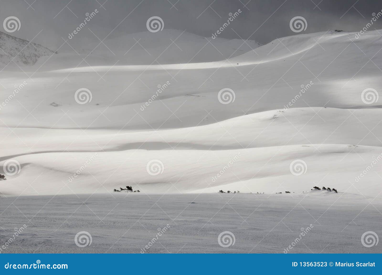 Snow abstract stock image. Image of shadow, winter, shape - 13563523
