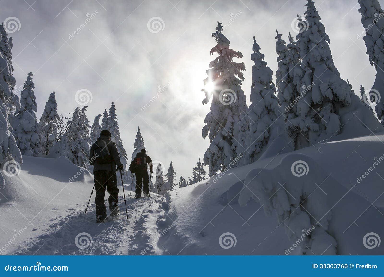 Snow adventure stock photo. Image of freeze, february - 38303760