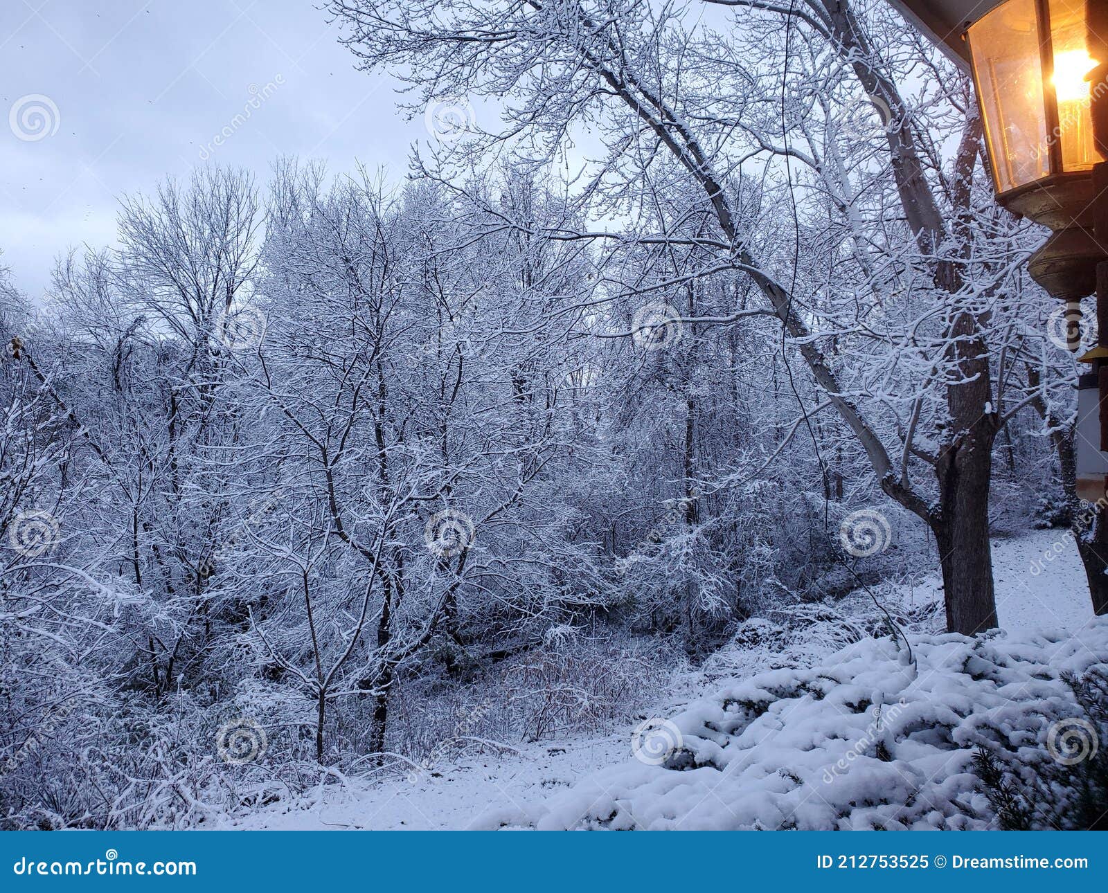 Snow in the afternoon stock image. Image of afternoon - 212753525