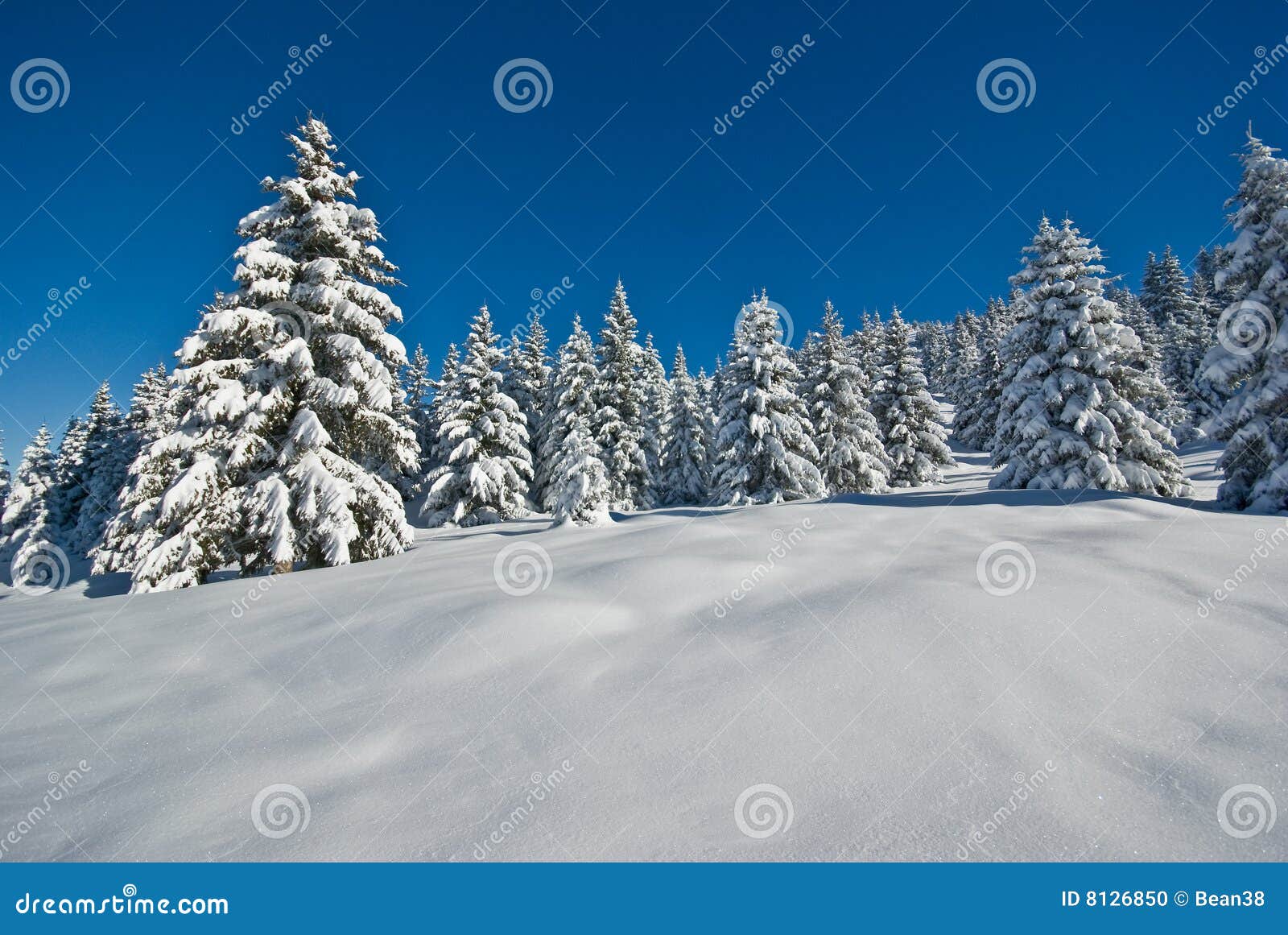 Snow in alps stock photo. Image of tree, alps, cold, belledonne - 8126850