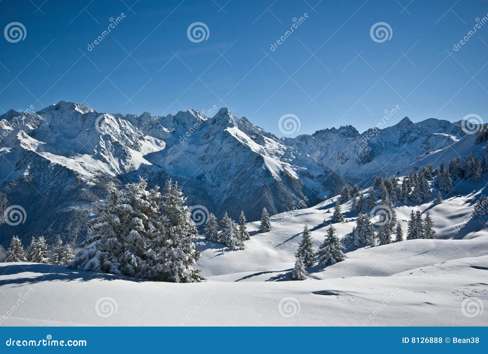 Snow in alps stock photo. Image of tree, grenoble, sport - 8126888