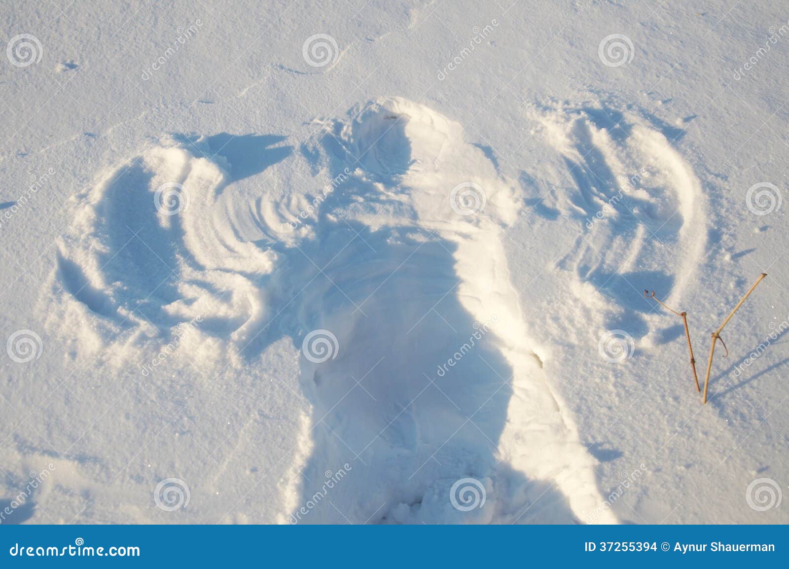 Snow angel stock photo. Image of holiday, snowy, beautiful - 37255394