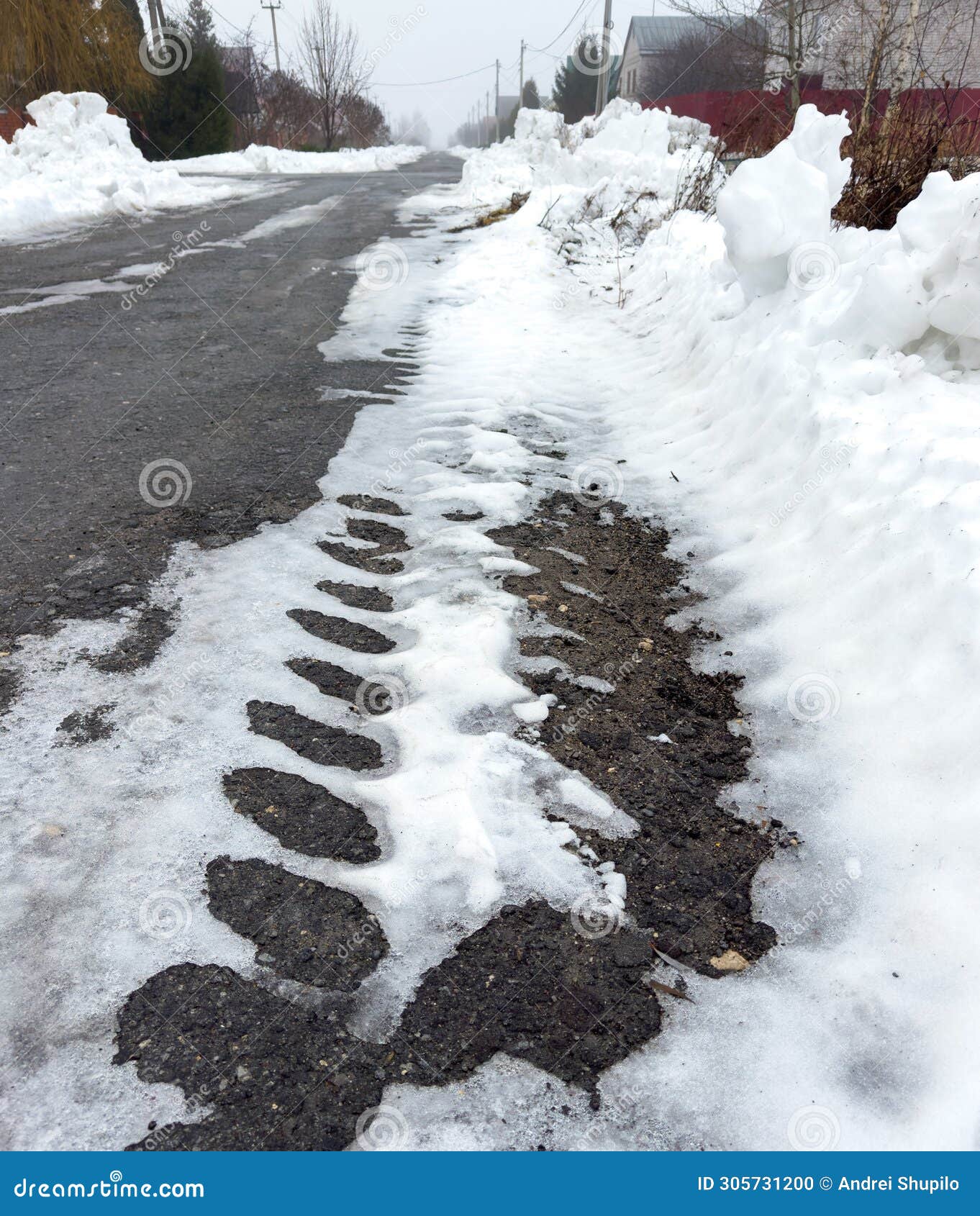 Snow on an Asphalt Road in Winter Stock Photo - Image of road, tree ...