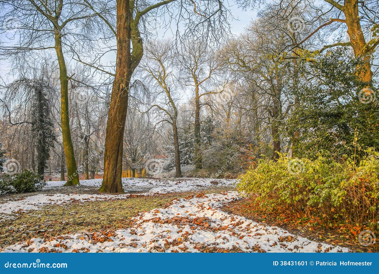 Snow in autumn park stock image. Image of park, autumn - 38431601
