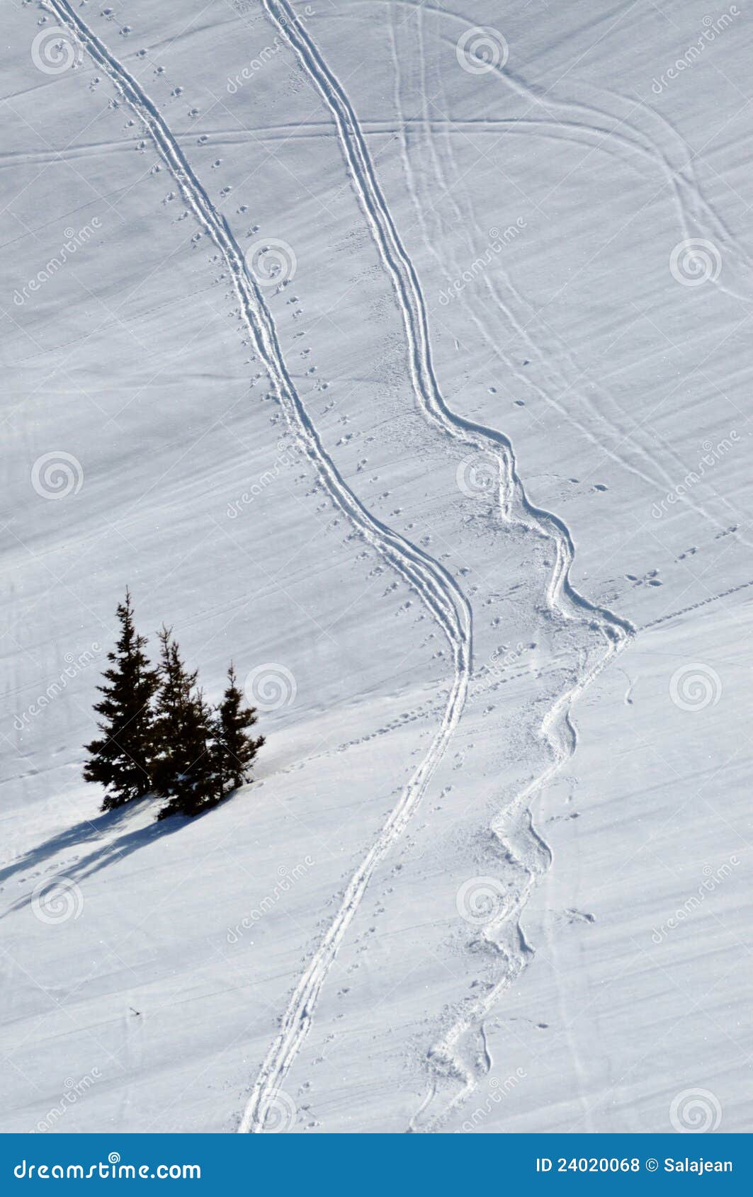 Snow Background with Ski and Snowboard Tracks Stock Photo - Image of ...