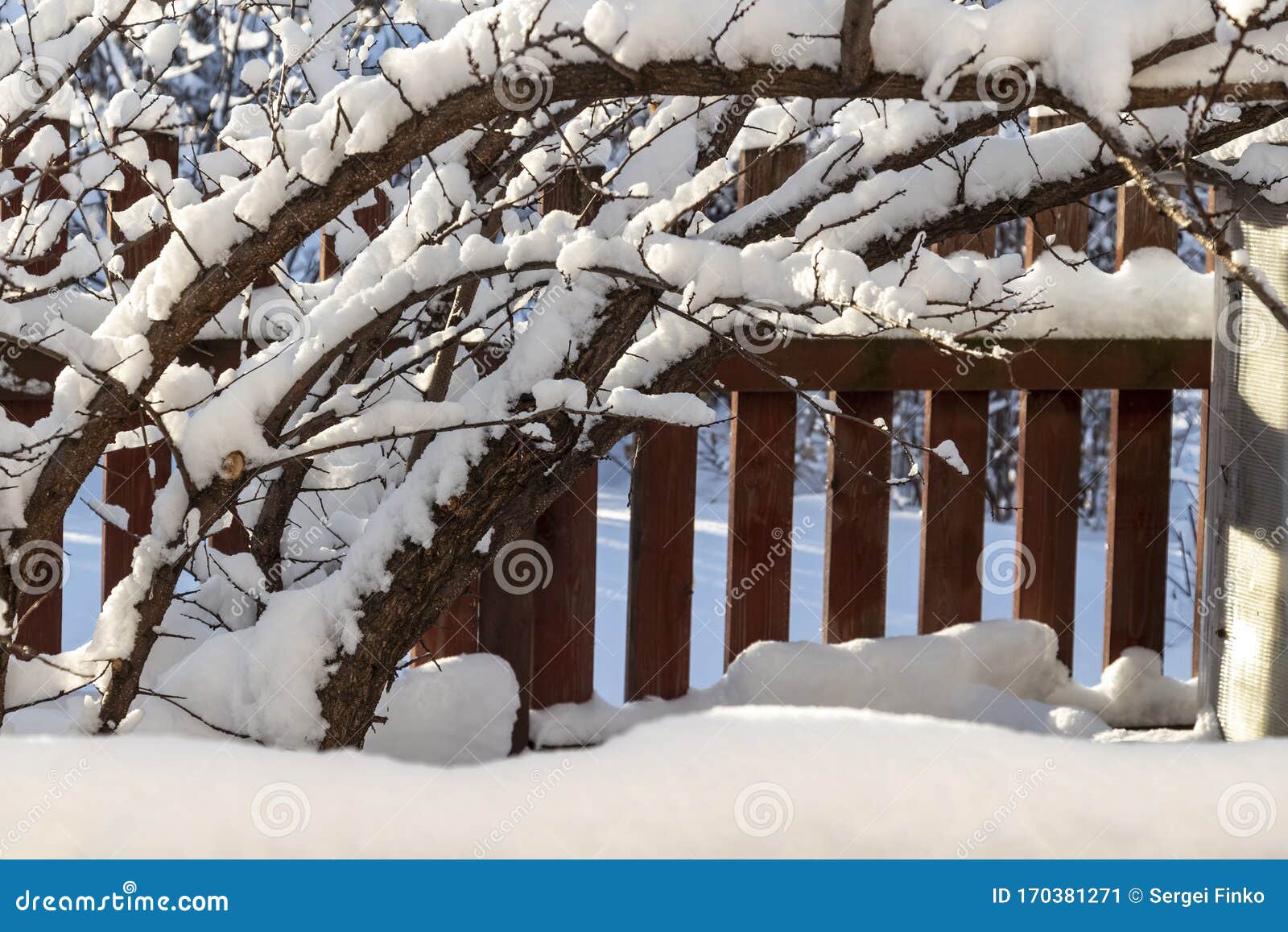 Snow in the backyard stock image. Image of backyard - 170381271
