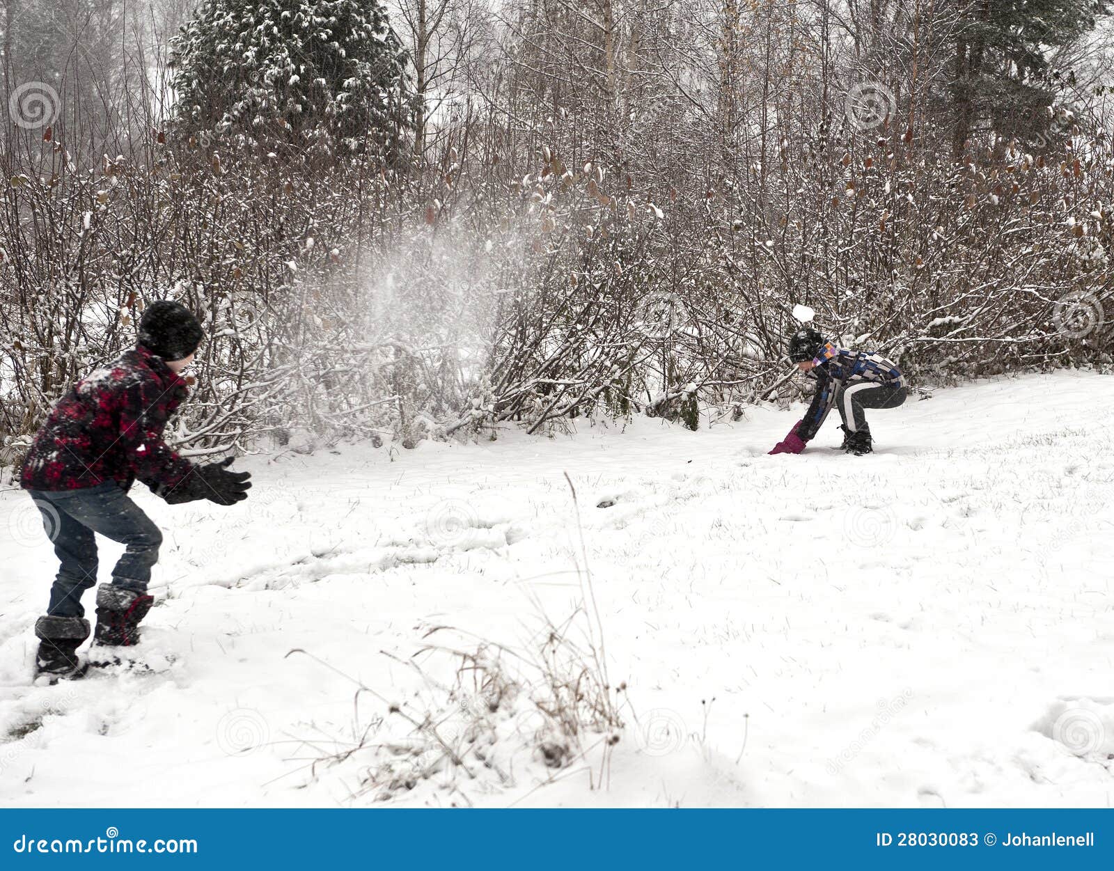 Snow ball fight stock image. Image of playful, ball, balls - 28030083