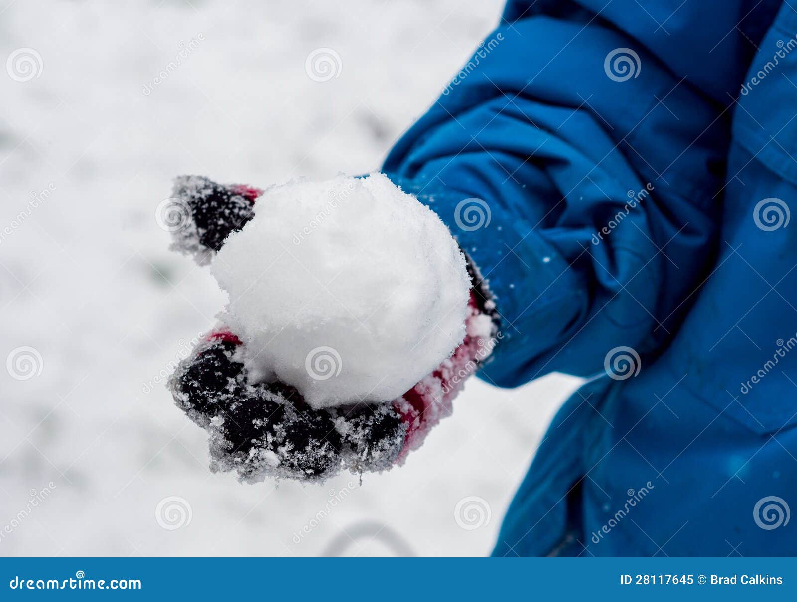 Snow ball fight stock image. Image of snowball, hand - 28117645