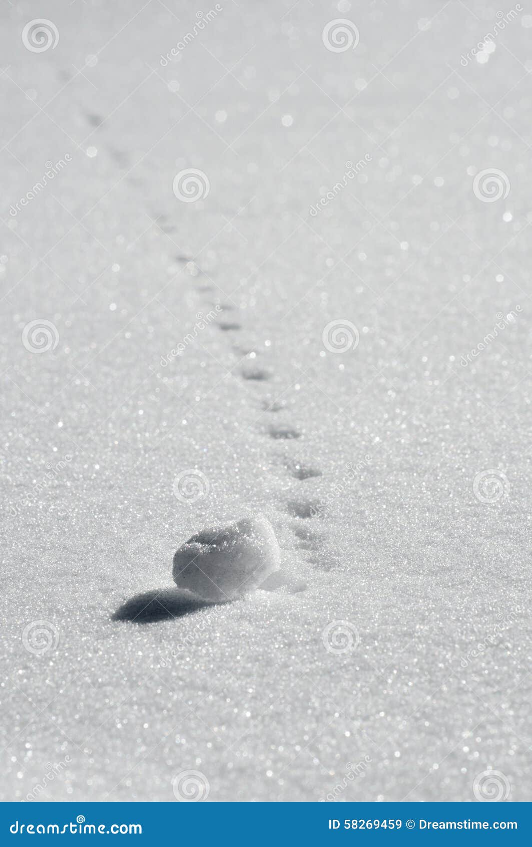 A Snowball Rolled Off the Slope Stock Image - Image of lonely, single ...