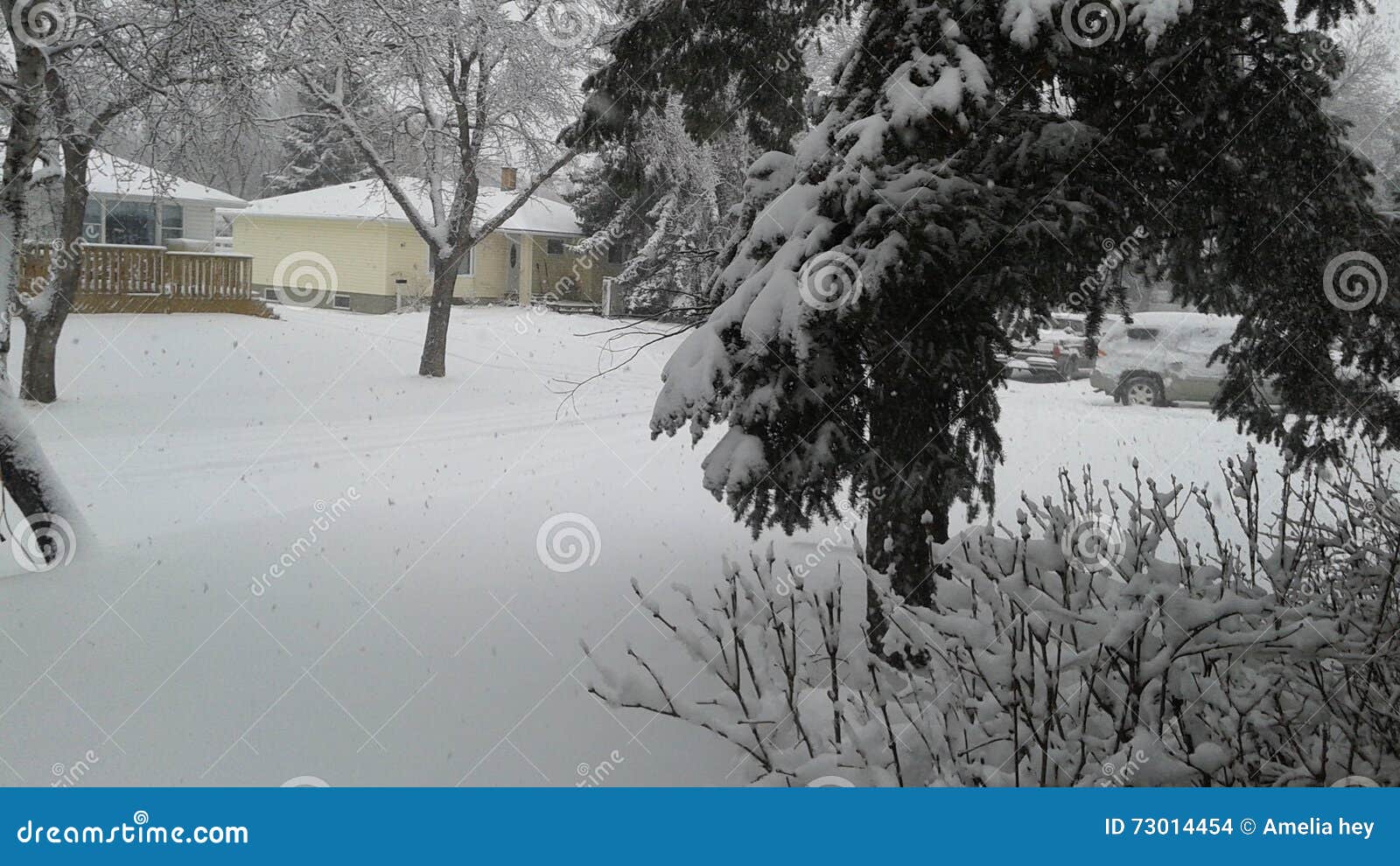 Snow Bank Royalty-Free Stock Image | CartoonDealer.com #73014454