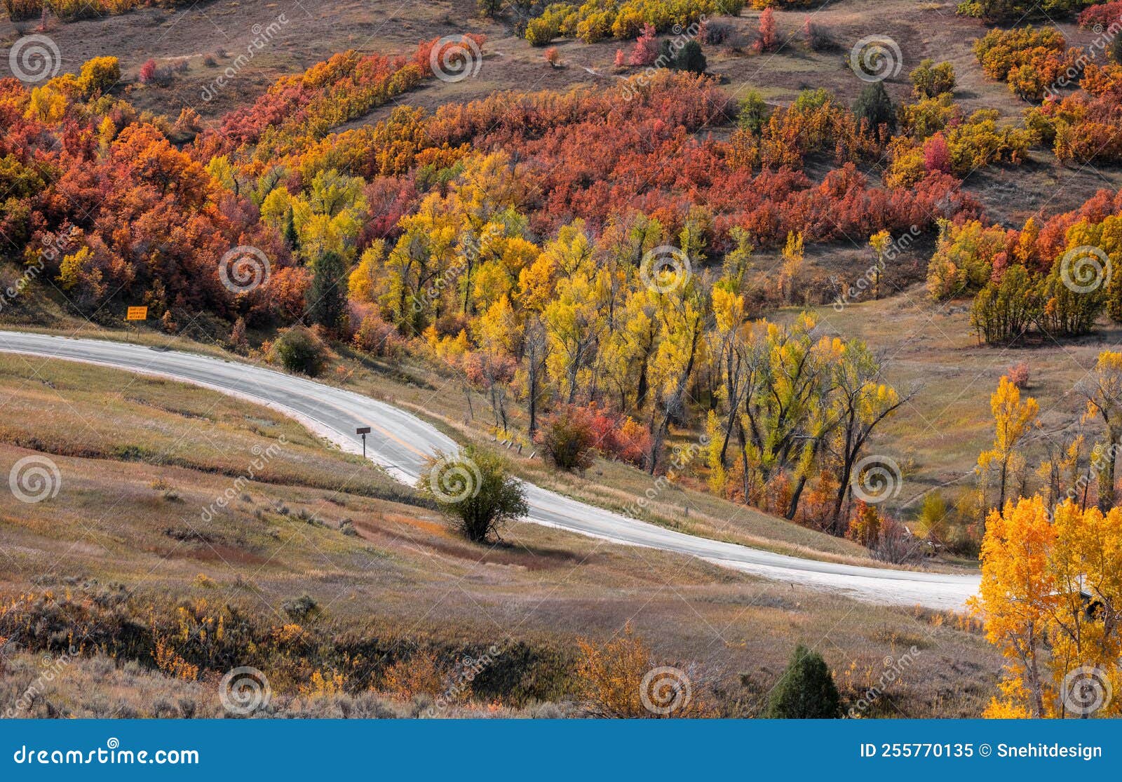 Snow Basin Utah during Autumn Time Stock Image - Image of aspen ...
