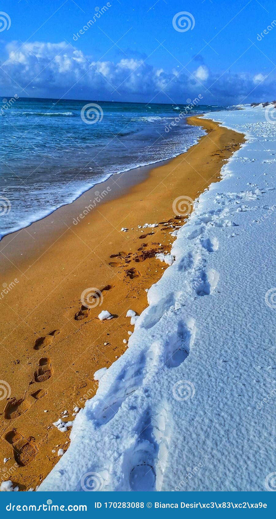 Snow at the beach stock photo. Image of winter, snow - 170283088