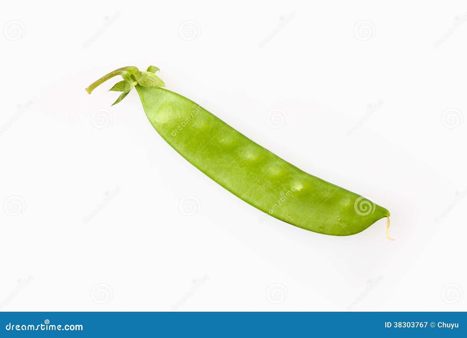 Snow bean closeup stock image. Image of closeup, freshness - 38303767
