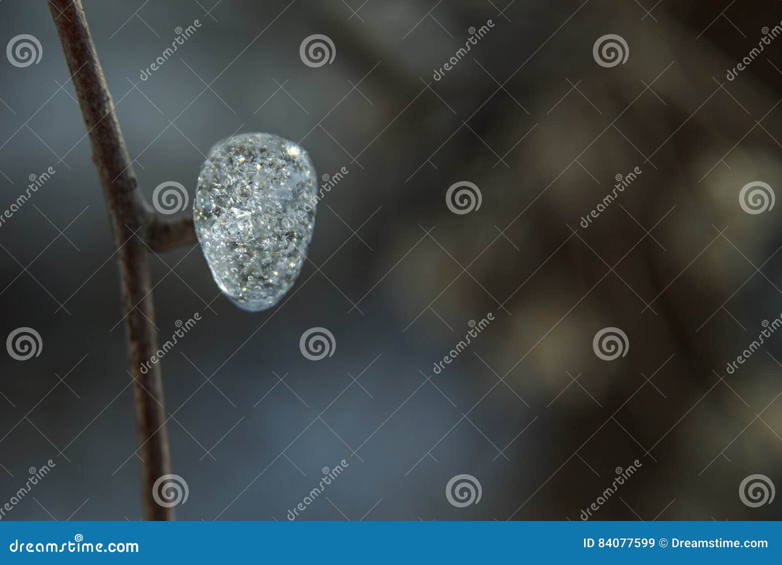 Snow beautiful stock image. Image of tree, macro, diamonds - 84077599