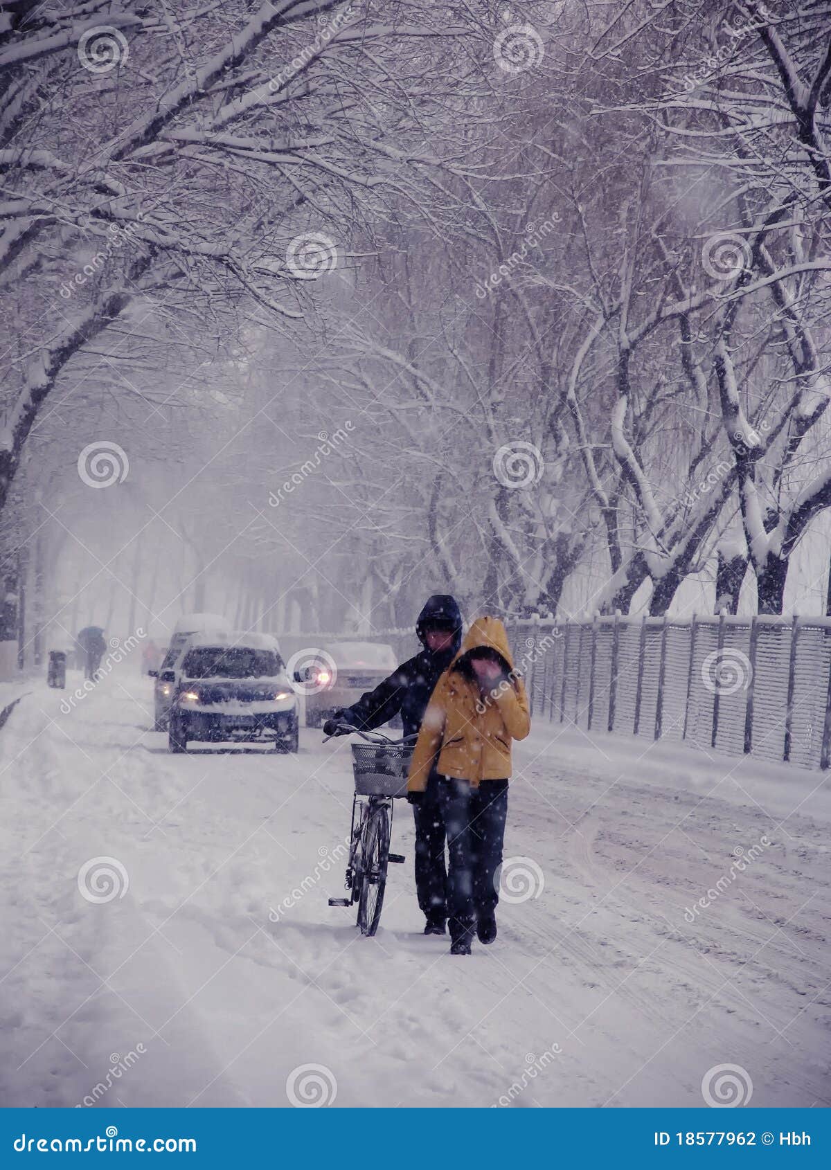 Snow in Beijing editorial photography. Image of cold - 18577962