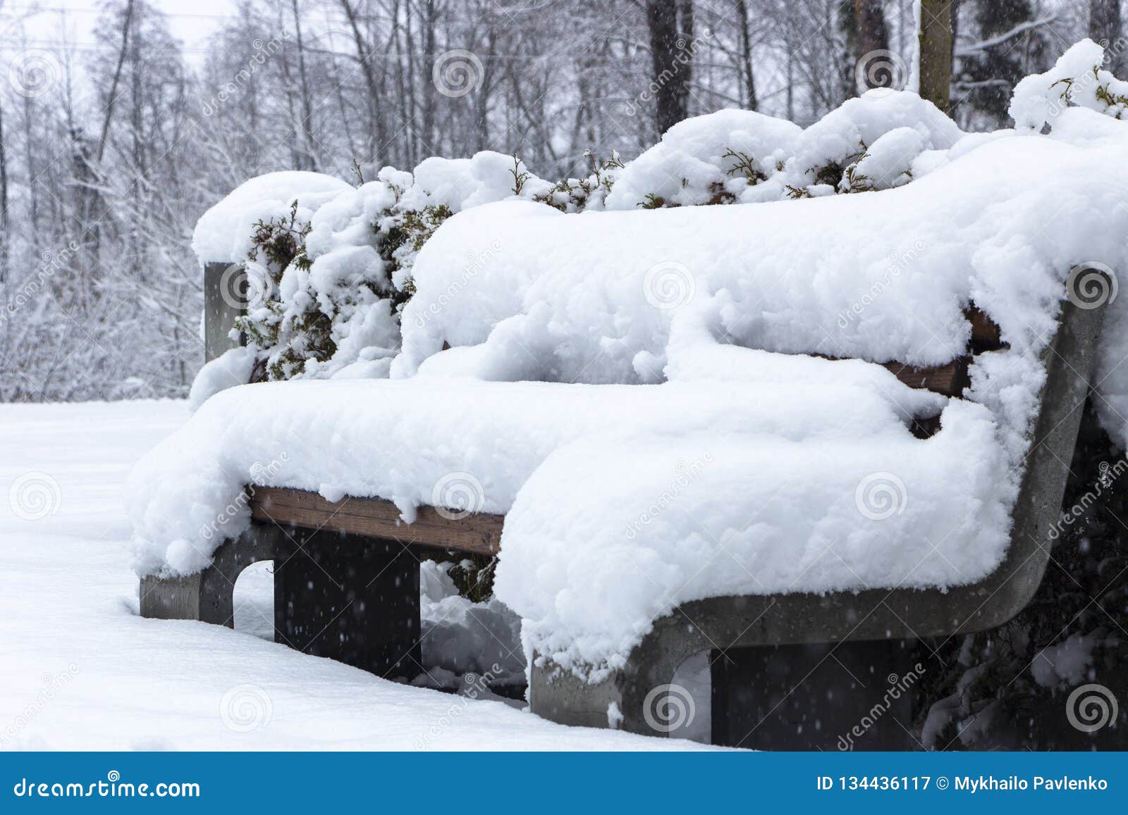 Snow on Bench in Park of Winter Stock Image - Image of cool, frost ...