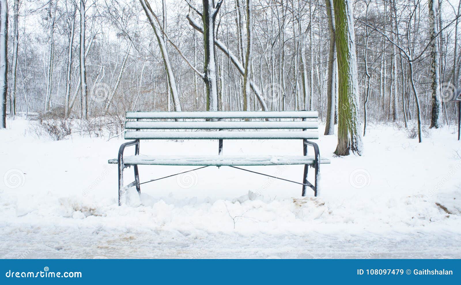 Snow on the Bench in Winter Stock Image - Image of landscape, forest ...
