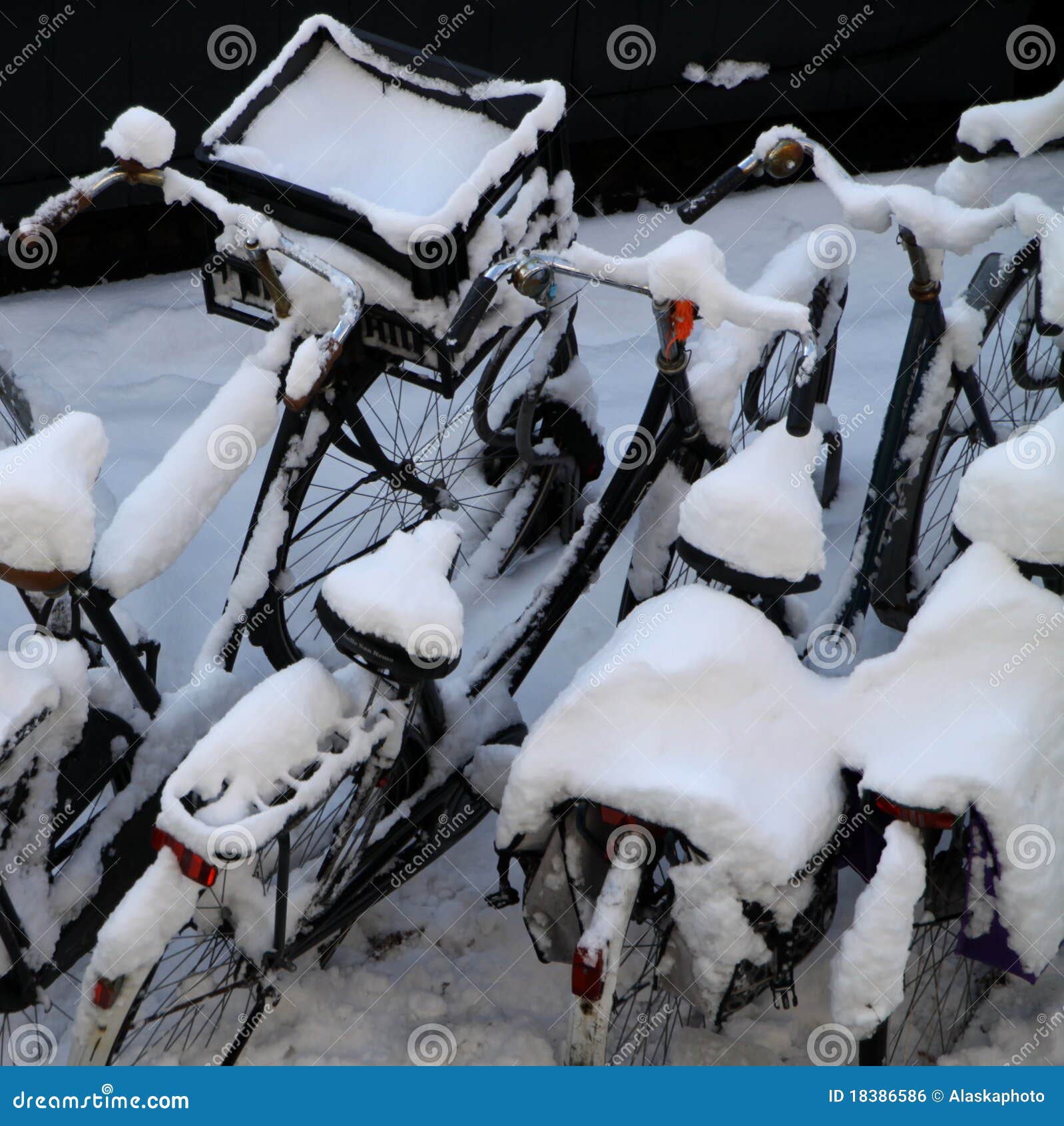 Snow on bicycles stock photo. Image of typical, winter - 18386586